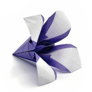 How to Fold an Origami Iris 🌷 Step-by-Step Instructions