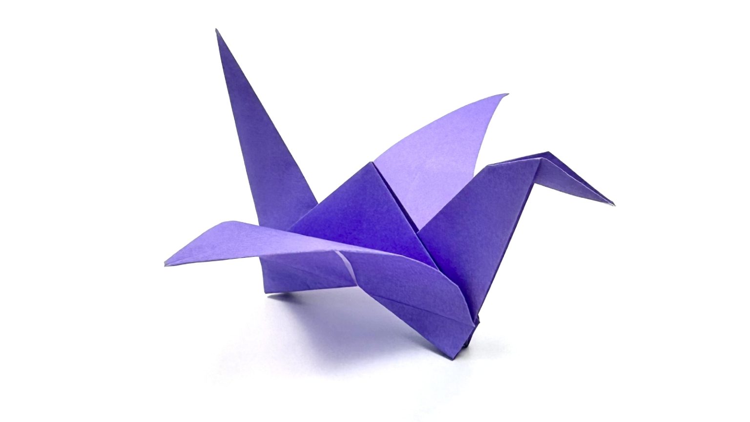 How to Fold an Origami Flapping Bird 🐦 Step-by-Step Instructions