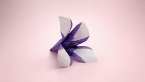 How to Fold an Origami Iris 🌷 Step-by-Step Instructions