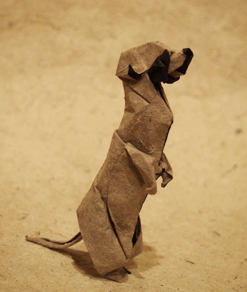 This Week in Origami, Everyone's Folding Chickens Edition