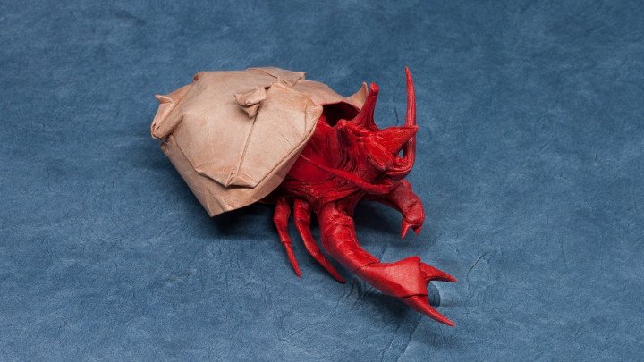 How to Wet Fold Origami