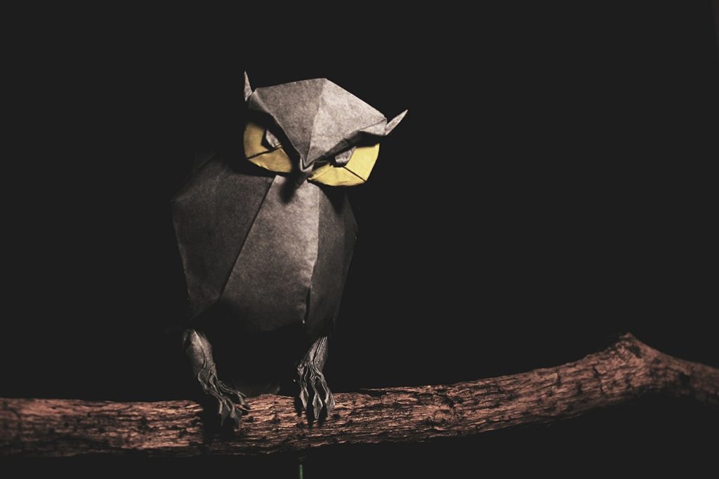 If You Give a Hoot about Origami then Check Out these Owls