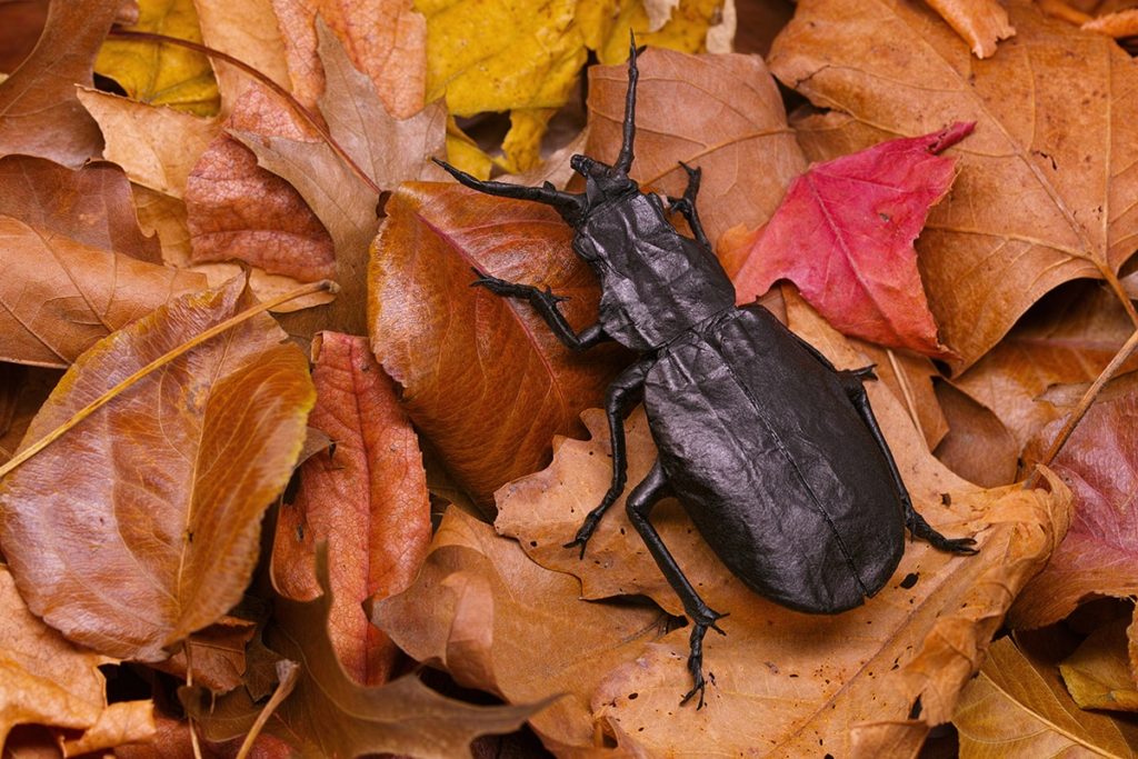 24 More Amazingly Realistic Looking Origami Insects