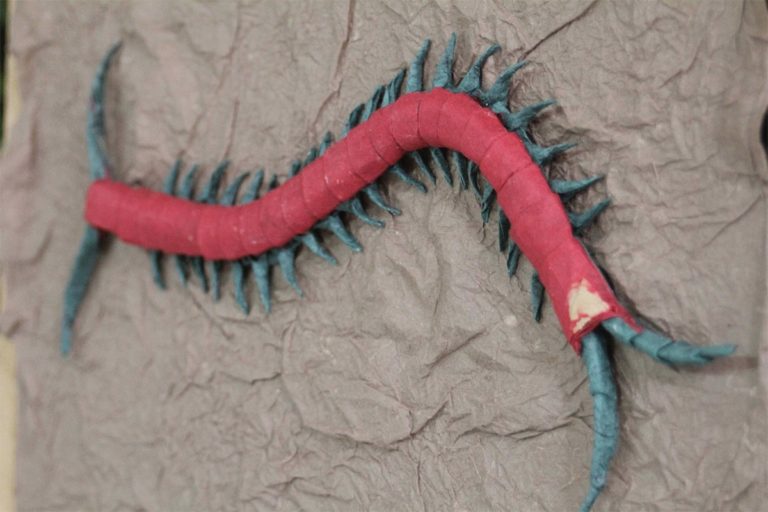 24 More Amazingly Realistic Looking Origami Insects