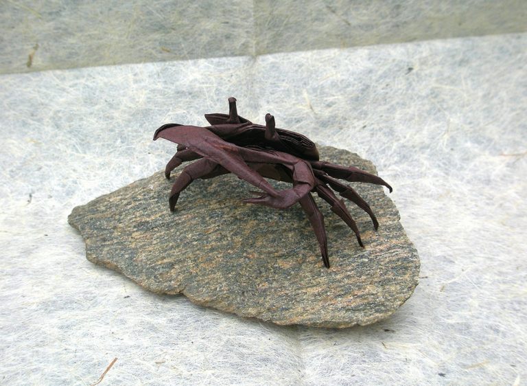 26 Great Origami Models for When You're Feeling a Bit Crabby