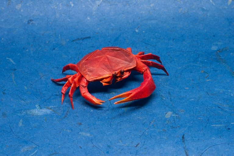 26 Great Origami Models for When You're Feeling a Bit Crabby