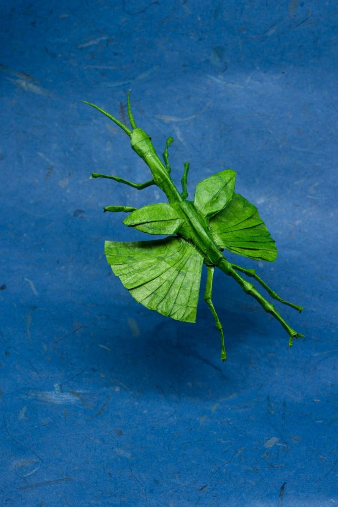 24 More Amazingly Realistic Looking Origami Insects