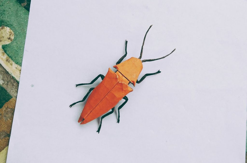 24 More Amazingly Realistic Looking Origami Insects
