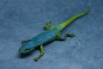Iguana Fold these 28 Awesome Origami Lizards