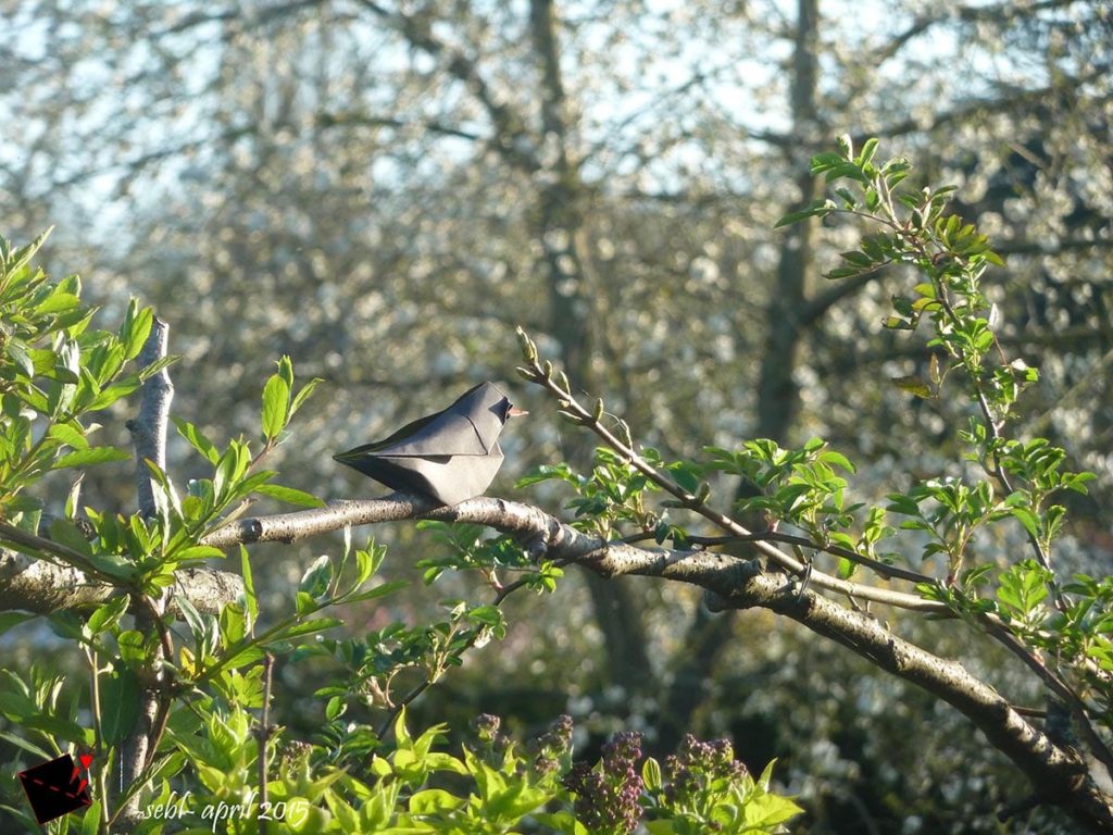 I’m Talon You that all these Origami Birds are Fantastic