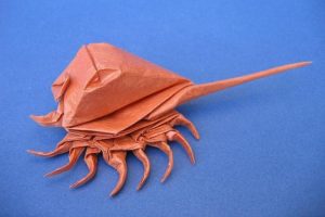 Can't Make it to the Beach? Try Folding these Origami Seashells!