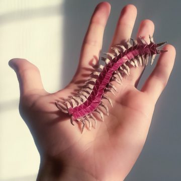 24 More Amazingly Realistic Looking Origami Insects