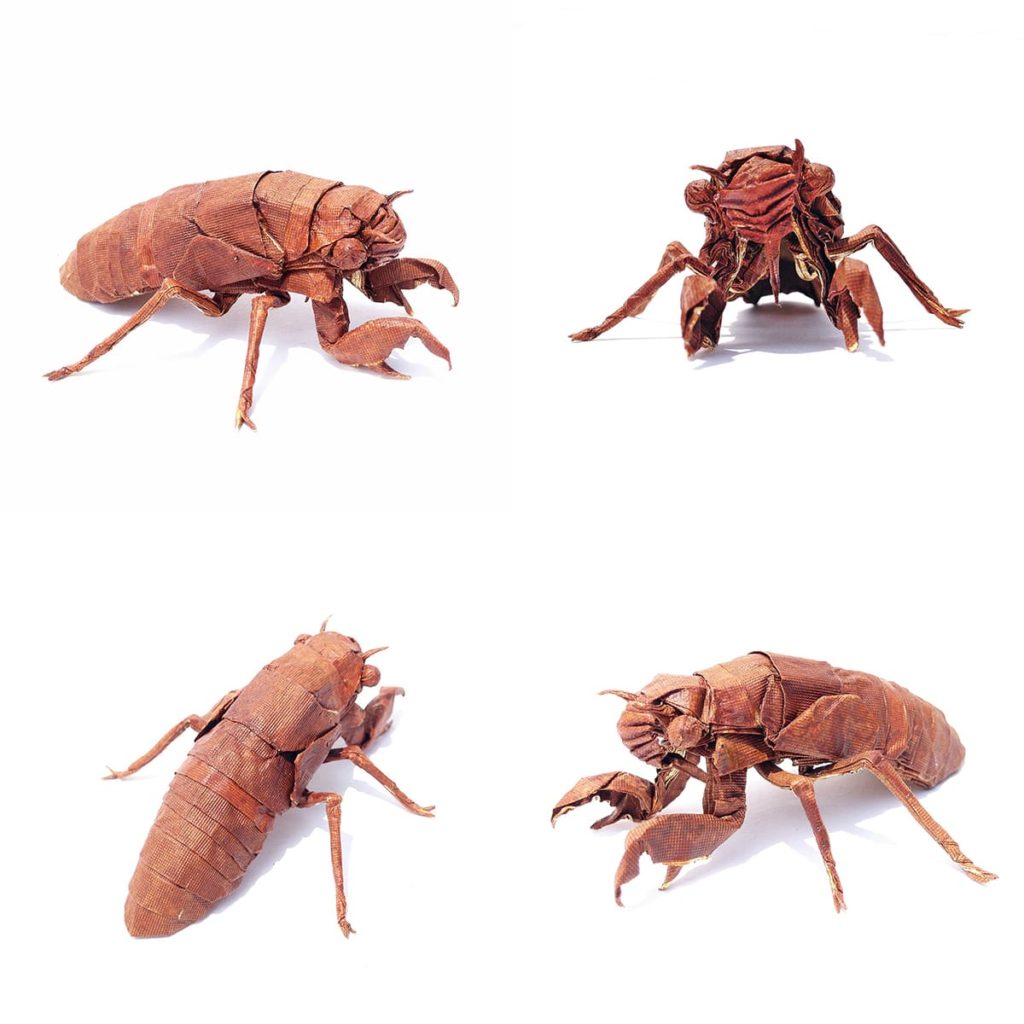 24 More Amazingly Realistic Looking Origami Insects