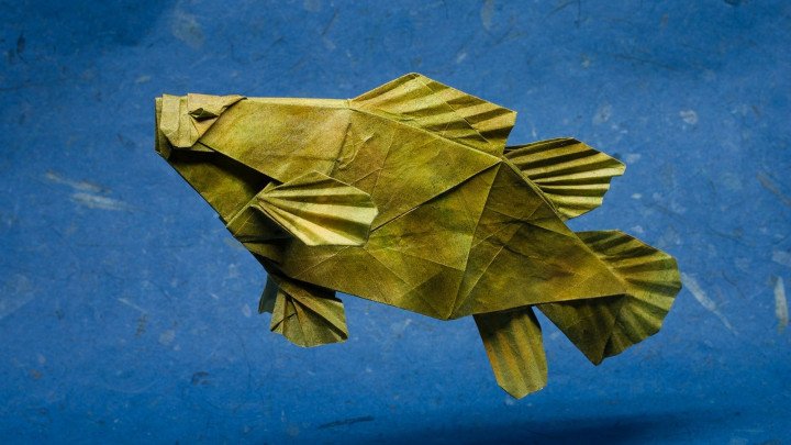Dolphinitely Some of the Best Origami Sea Creatures I’ve Seen!