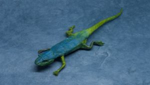 Iguana Fold these 28 Awesome Origami Lizards