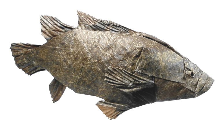 25 Excellent Origami Fish Just for the Halibut