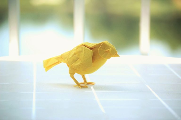 24 Beautiful Migratory Origami Birds for the #OrigamiMigration