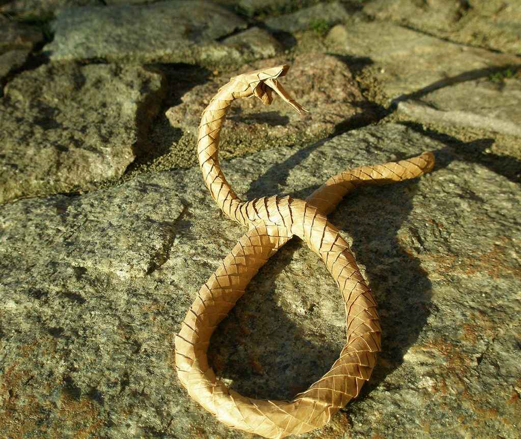 I Asped When I Saw These Incredible Origami Snakes