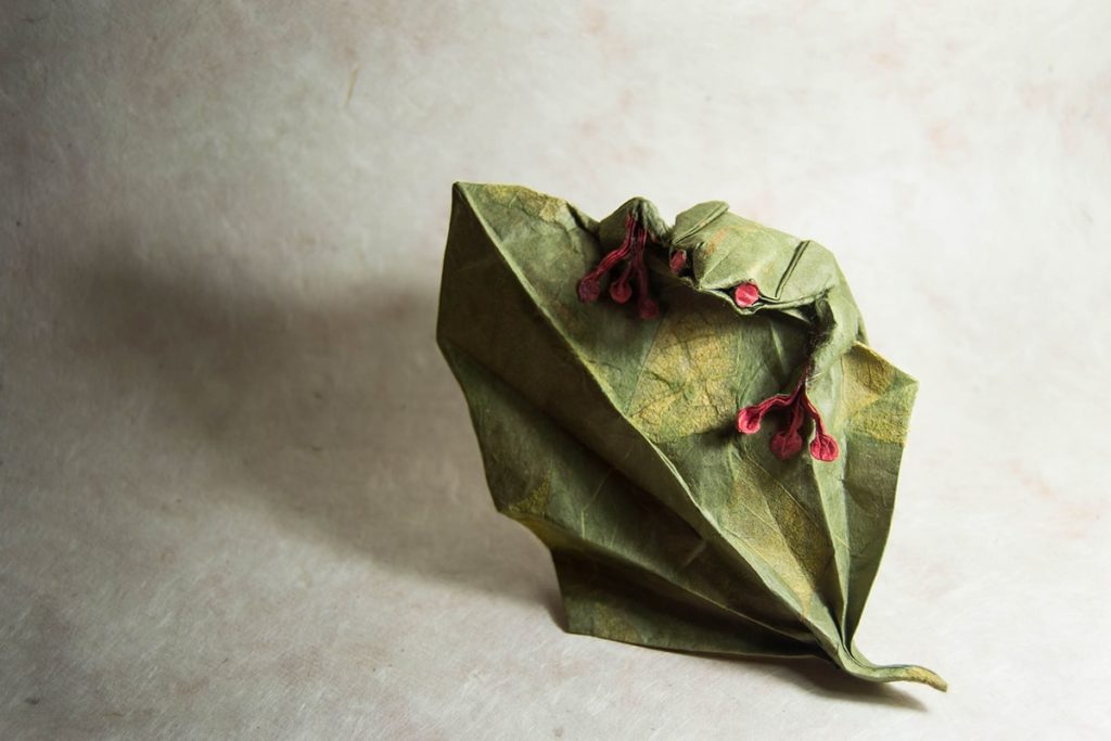 Toadly Awesome, Un-Frog-Gettable and Quite Ribbitting Origami Frogs