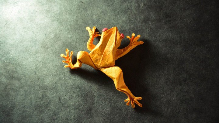 Toadly Awesome, Un-Frog-Gettable and Quite Ribbitting Origami Frogs