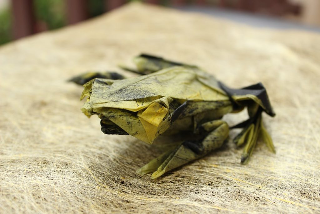 Toadly Awesome, Un-Frog-Gettable and Quite Ribbitting Origami Frogs