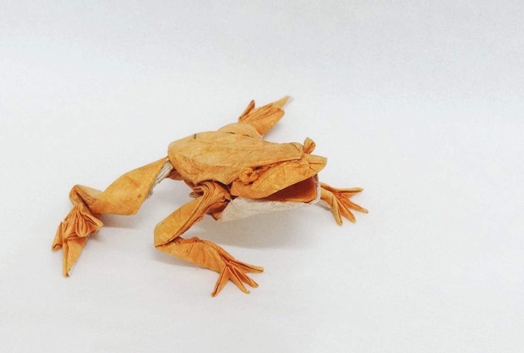 Toadly Awesome, Un-Frog-Gettable and Quite Ribbitting Origami Frogs