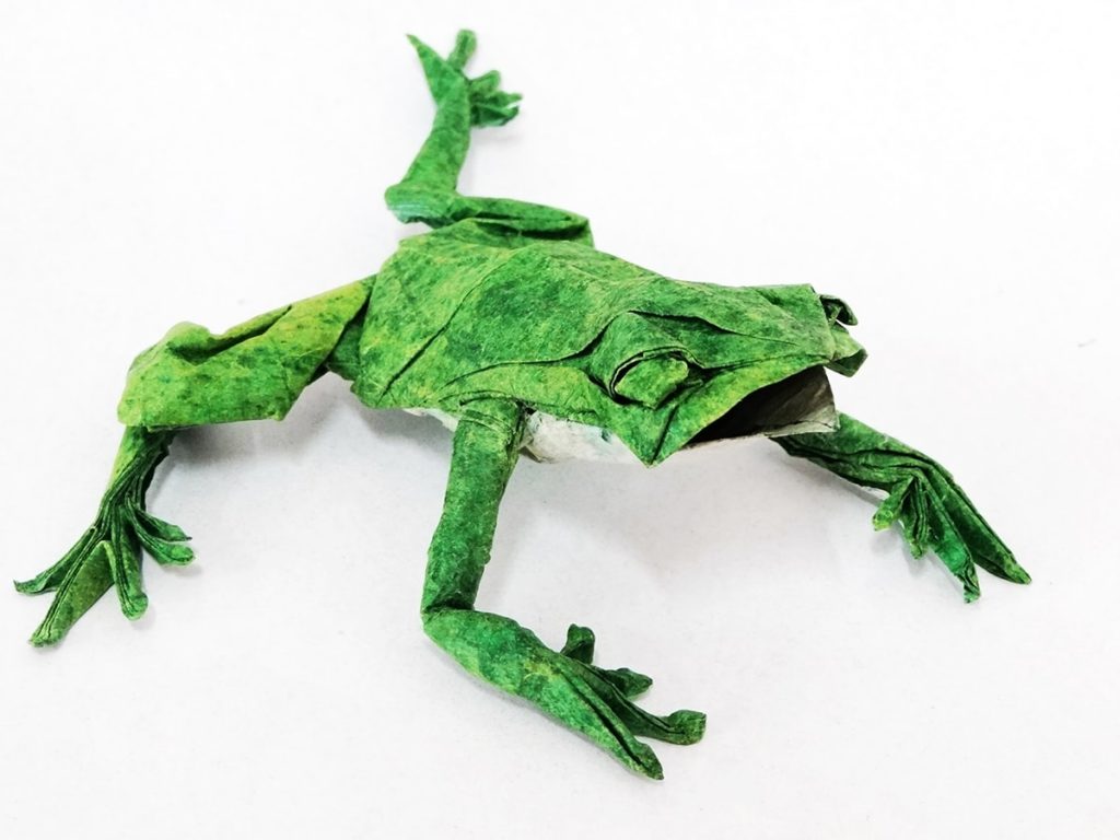 Toadly Awesome, Un-Frog-Gettable and Quite Ribbitting Origami Frogs