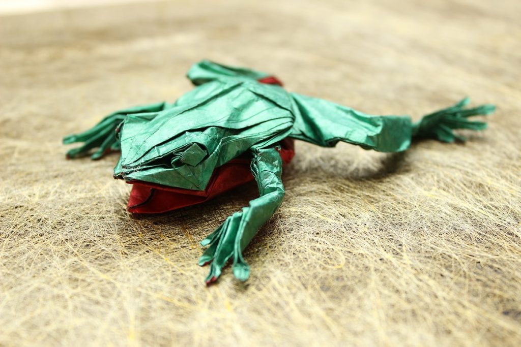 Toadly Awesome, Un-Frog-Gettable and Quite Ribbitting Origami Frogs