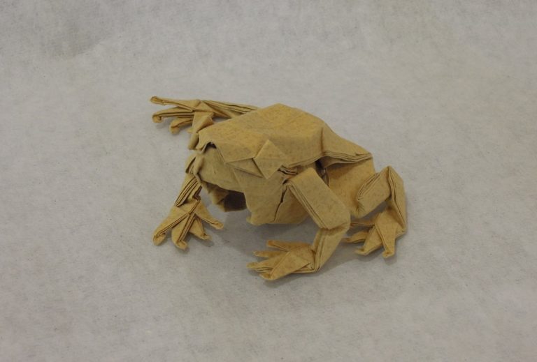 Toadly Awesome, Un-Frog-Gettable and Quite Ribbitting Origami Frogs