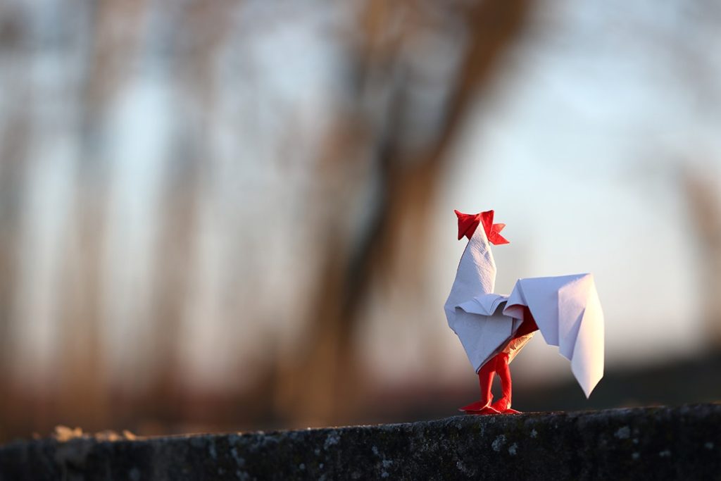 2017 Chinese New Year Origami Rooster Extravaganza!