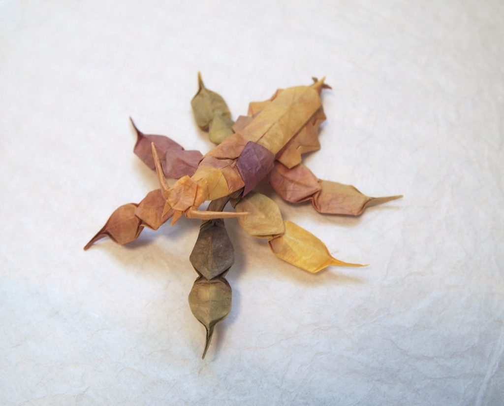I (c)Ant Believe How Complex and Realistic these Origami Insects Look!