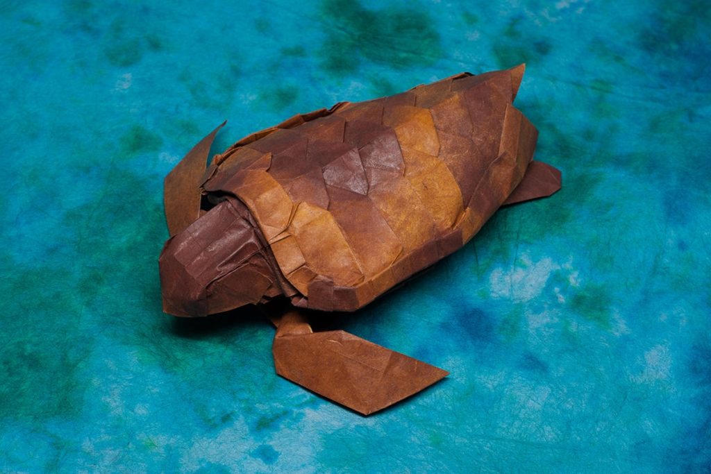 A Shellebration of Turtley Amazing Origami Turtles and Tortoises