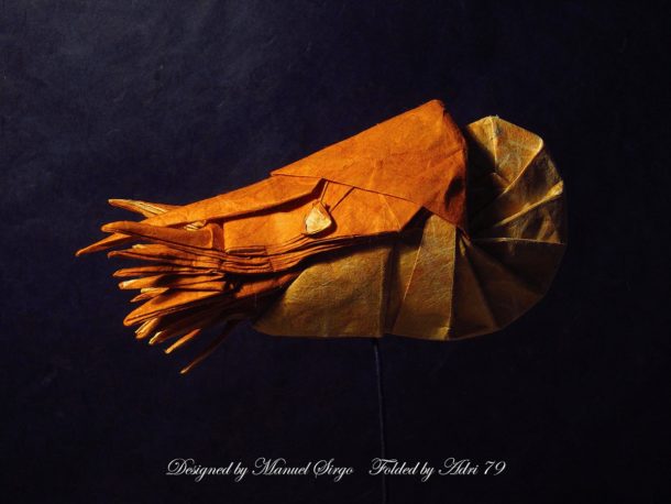 Dolphinitely Some of the Best Origami Sea Creatures I’ve Seen!