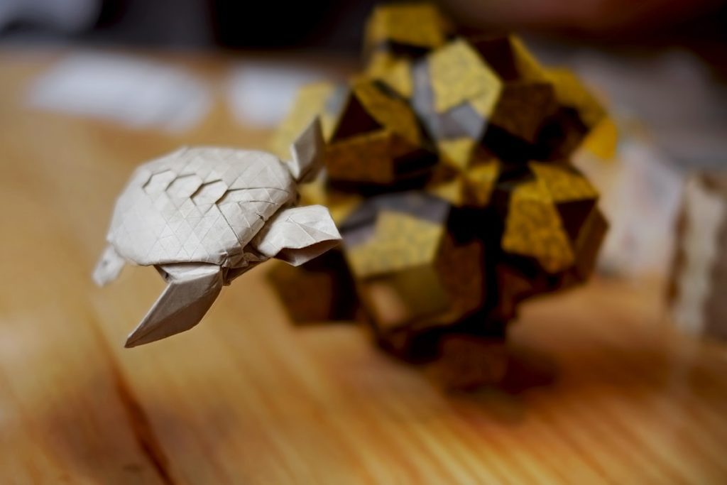 A Shellebration of Turtley Amazing Origami Turtles and Tortoises