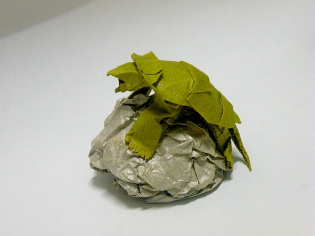A Shellebration of Turtley Amazing Origami Turtles and Tortoises