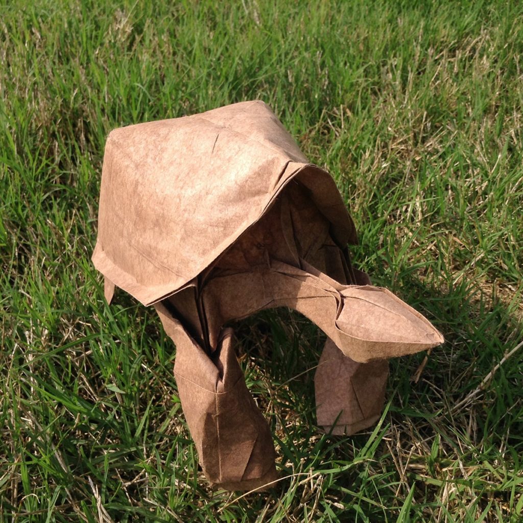 A Shellebration of Turtley Amazing Origami Turtles and Tortoises