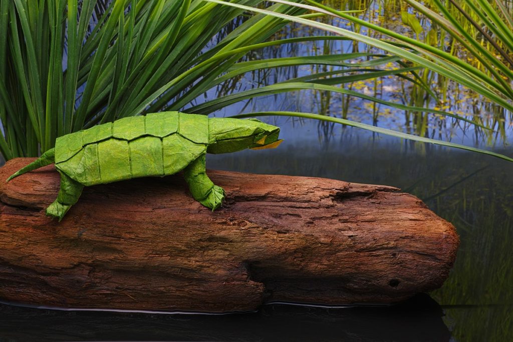 A Shellebration of Turtley Amazing Origami Turtles and Tortoises