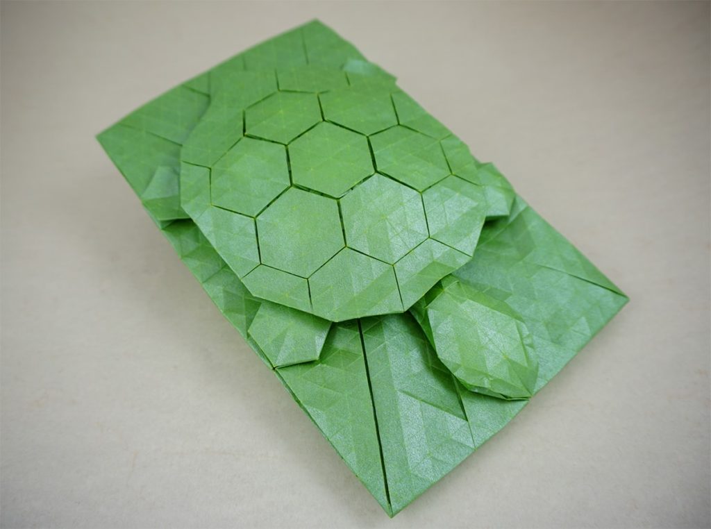 A Shellebration of Turtley Amazing Origami Turtles and Tortoises