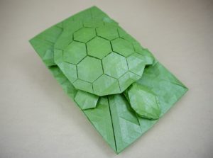 A Shellebration of Turtley Amazing Origami Turtles and Tortoises