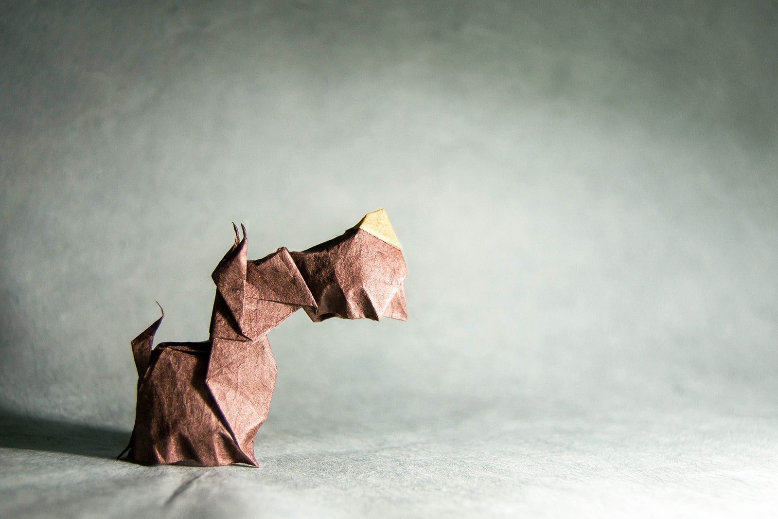 25 Pawsome Origami Dogs that You Mutt See