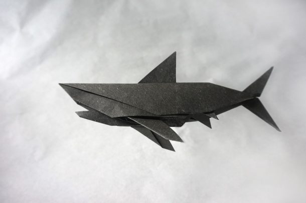 Magnificent Origami Sharks to Celebrate Shark Awareness Day