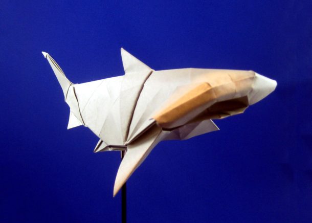Magnificent Origami Sharks to Celebrate Shark Awareness Day