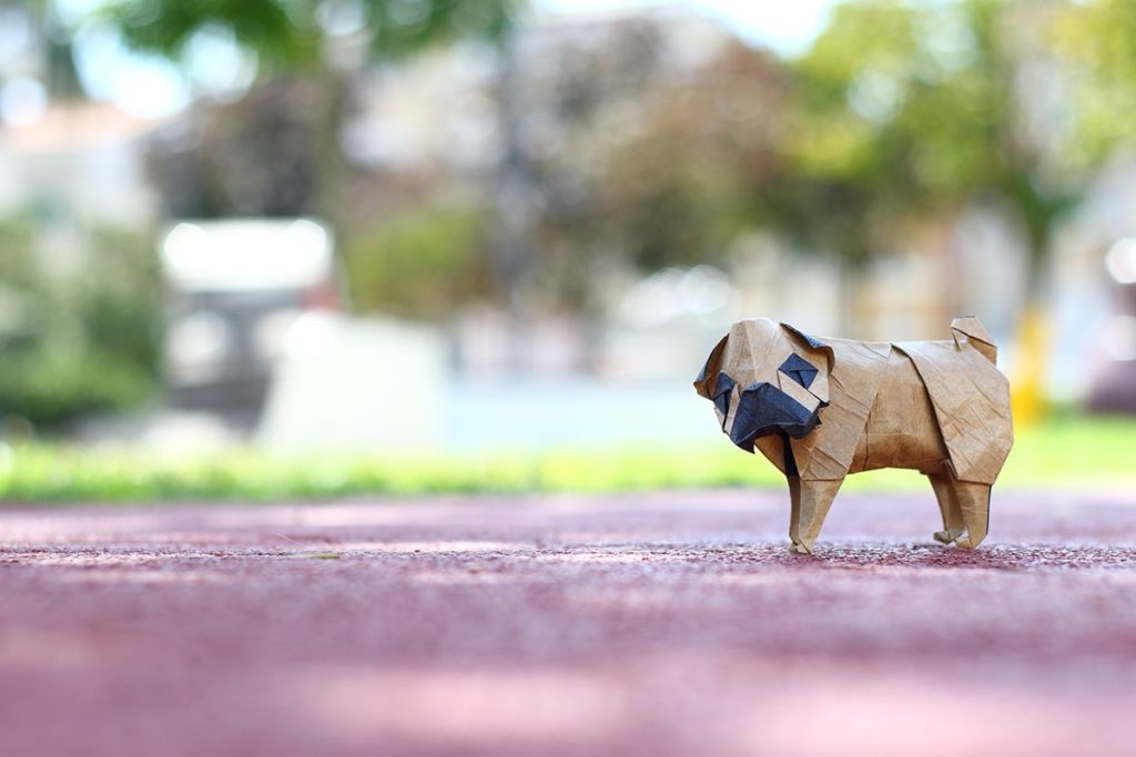 Chinese New Year 2018 Origami Dog Extravaganza!