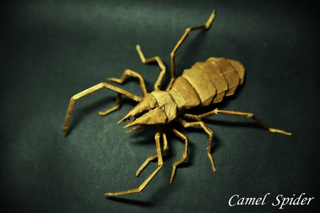 This Desert Themed Origami Is Looking Quite Sharp… and Hot