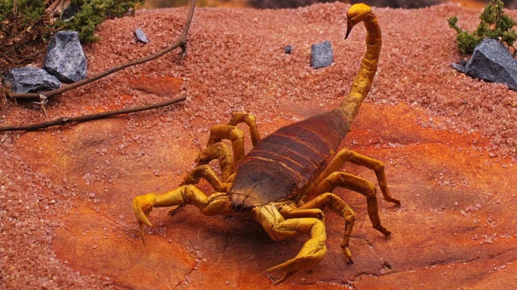 This Desert Themed Origami Is Looking Quite Sharp… and Hot