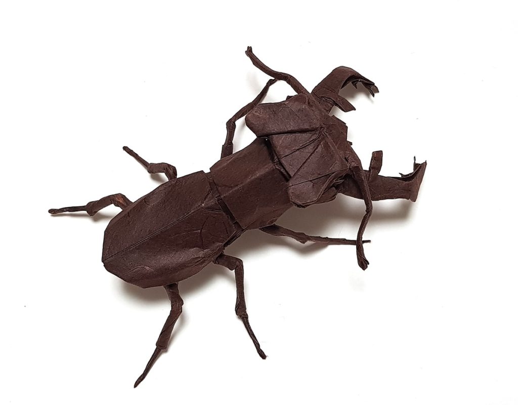 Hive Got to Show You these Origami Insects, they’re Getting a lot of Buzz