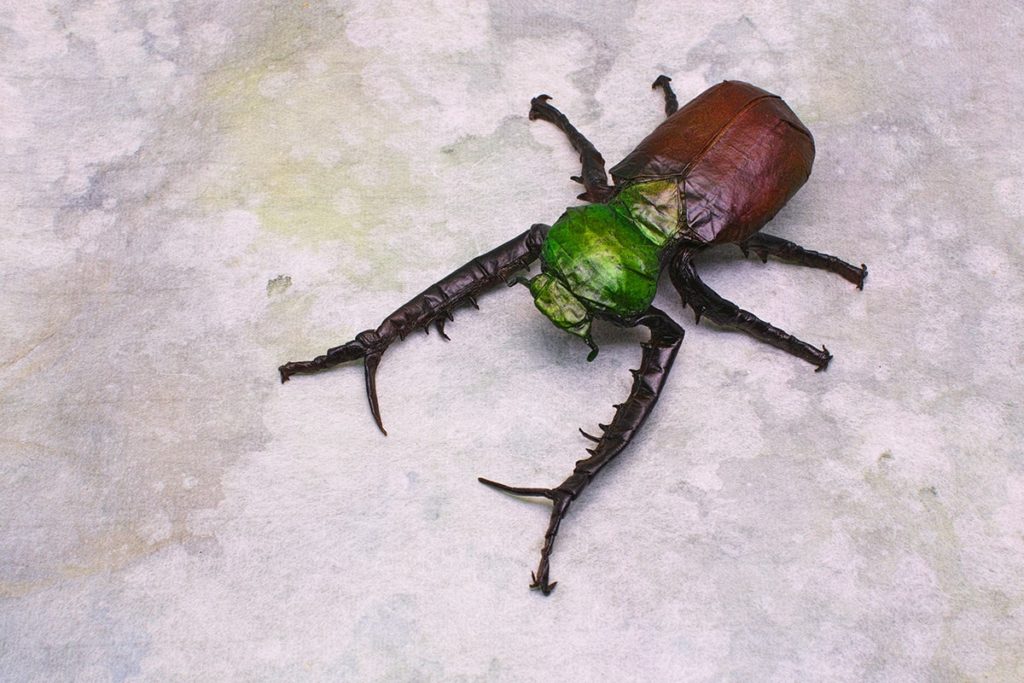 Hive Got to Show You these Origami Insects, they’re Getting a lot of Buzz