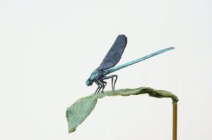 Hive Got to Show You these Origami Insects, they’re Getting a lot of Buzz