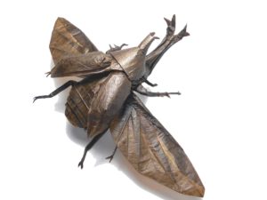 Hive Got to Show You these Origami Insects, they’re Getting a lot of Buzz