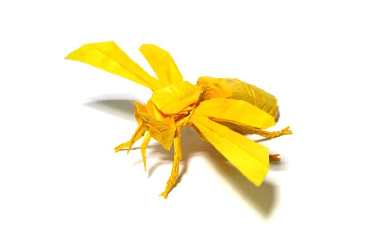 Hive Got to Show You these Origami Insects, they’re Getting a lot of Buzz